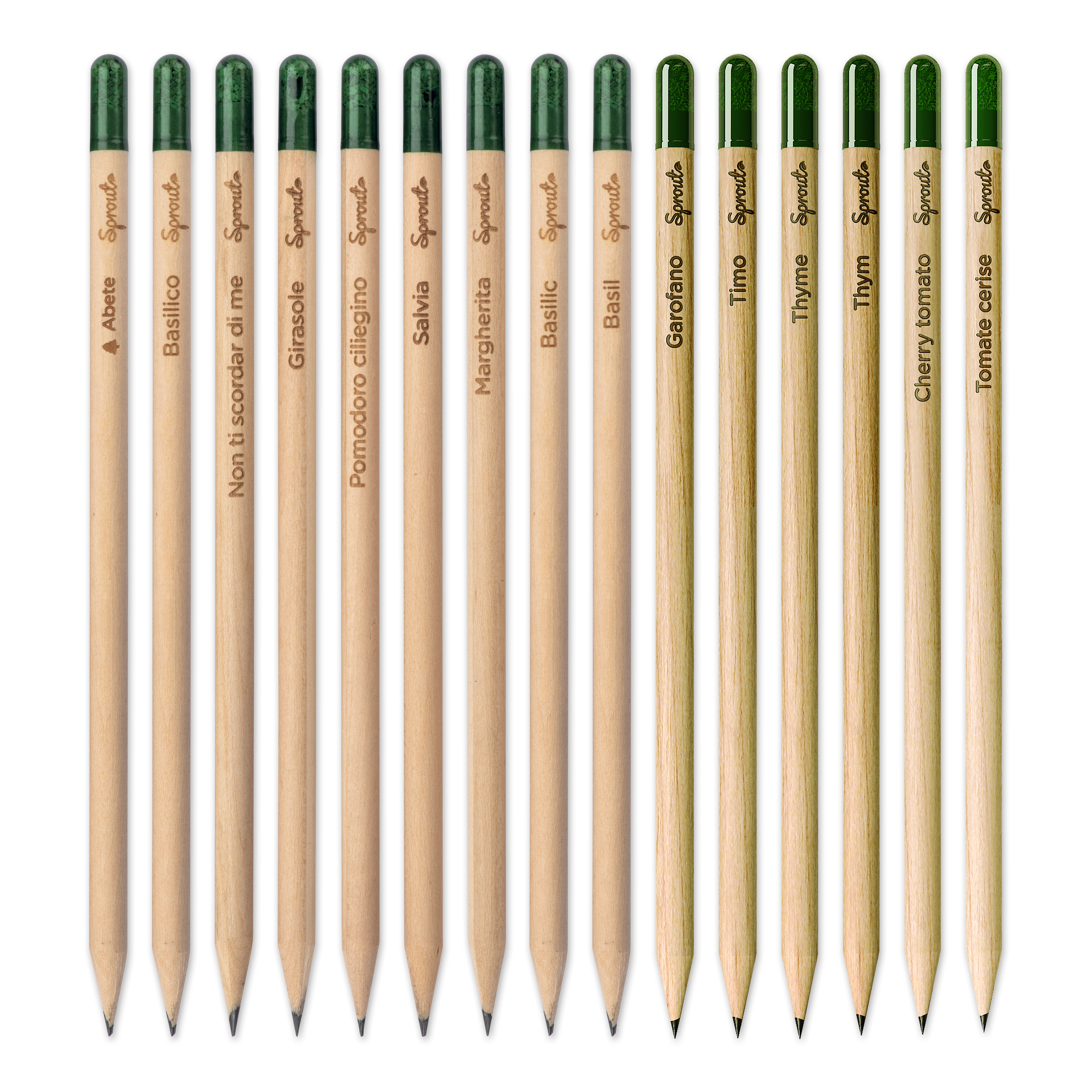 Sprout pencil made of sustainable wood with graphite lead. Plantable ...